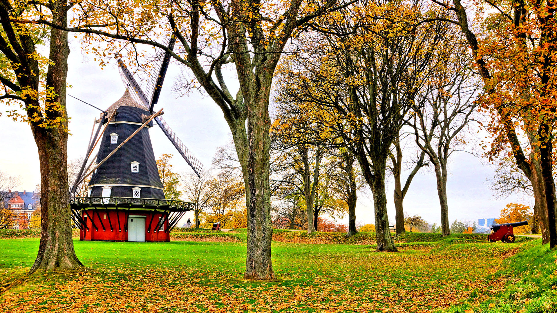 Proof That Denmark Is Experiencing the Most Gorgeous Autumn Ever