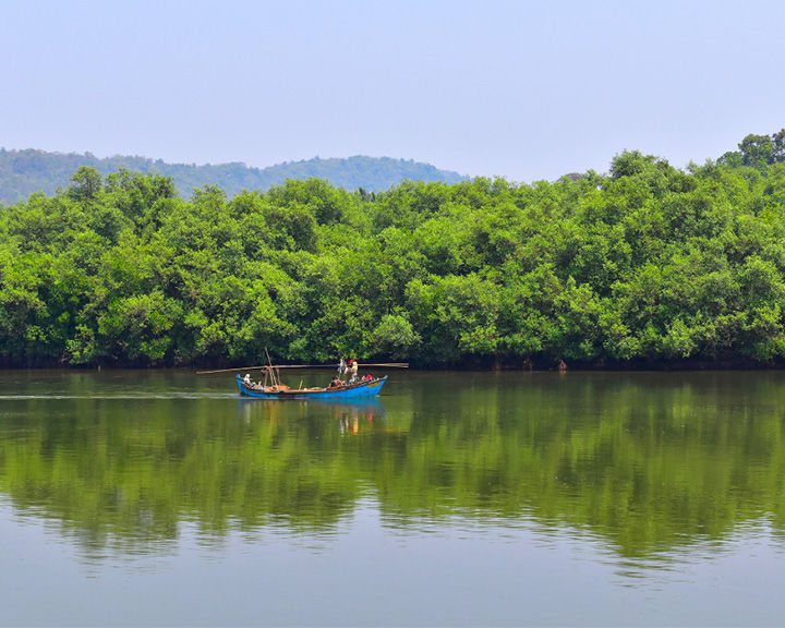 Can't Decide Between North & South Goa? Here's Your Answer!