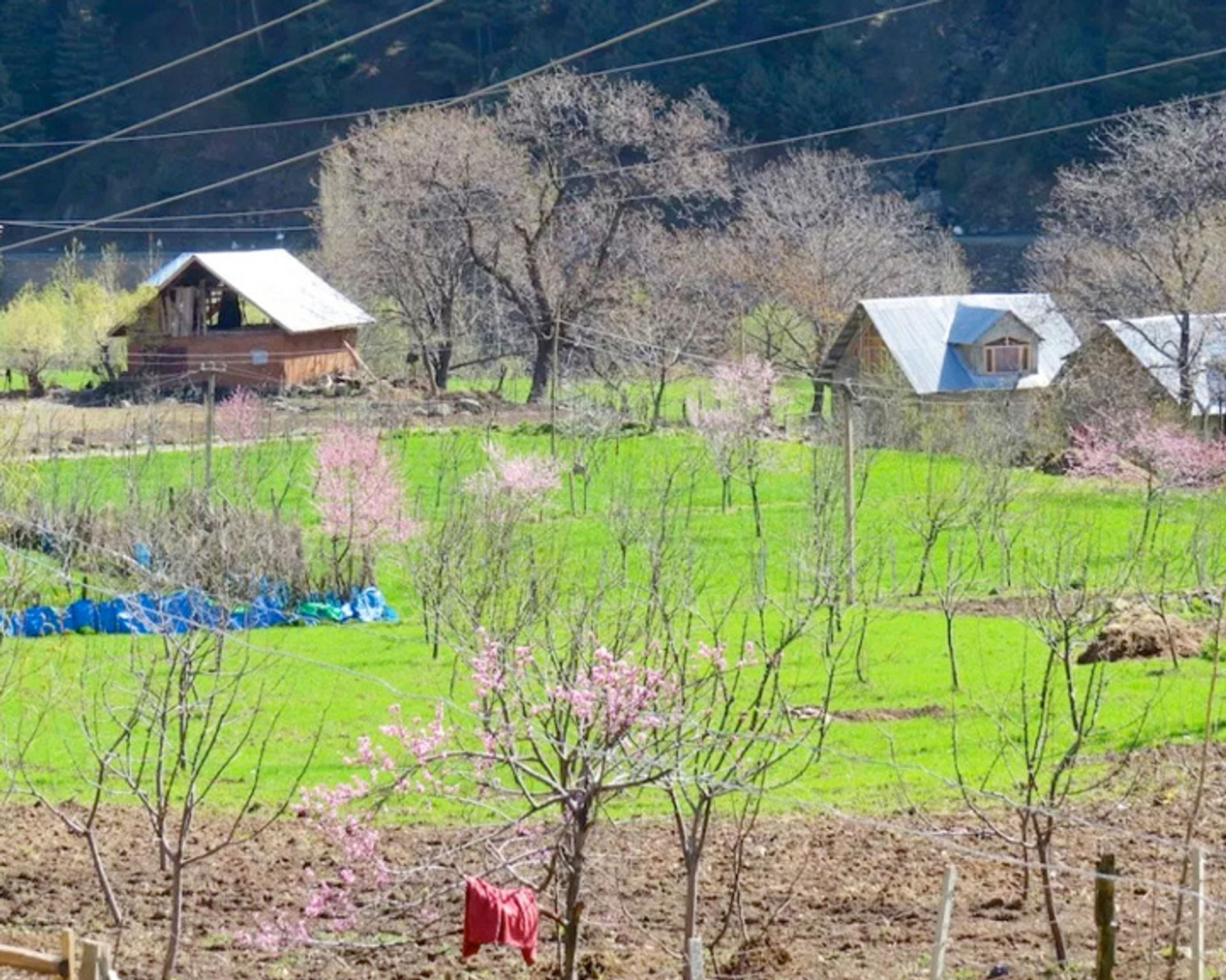 This Cheese Factory In Kashmir Will Re-define Your Purpose Of Visiting