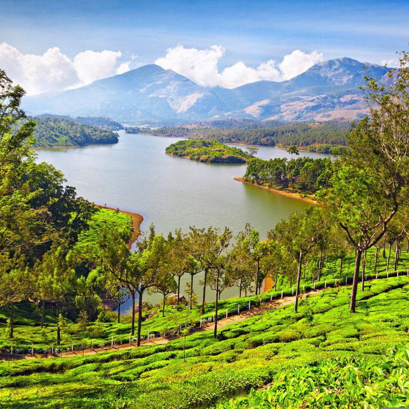 Kyoto Is One Of The Best Places To Travel In 2023