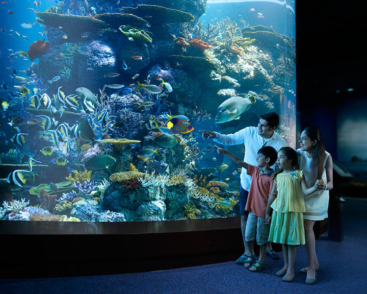 Experience Of A Lifetime:S.E.A. Aquarium™ At Resorts World™ Sentosa Si