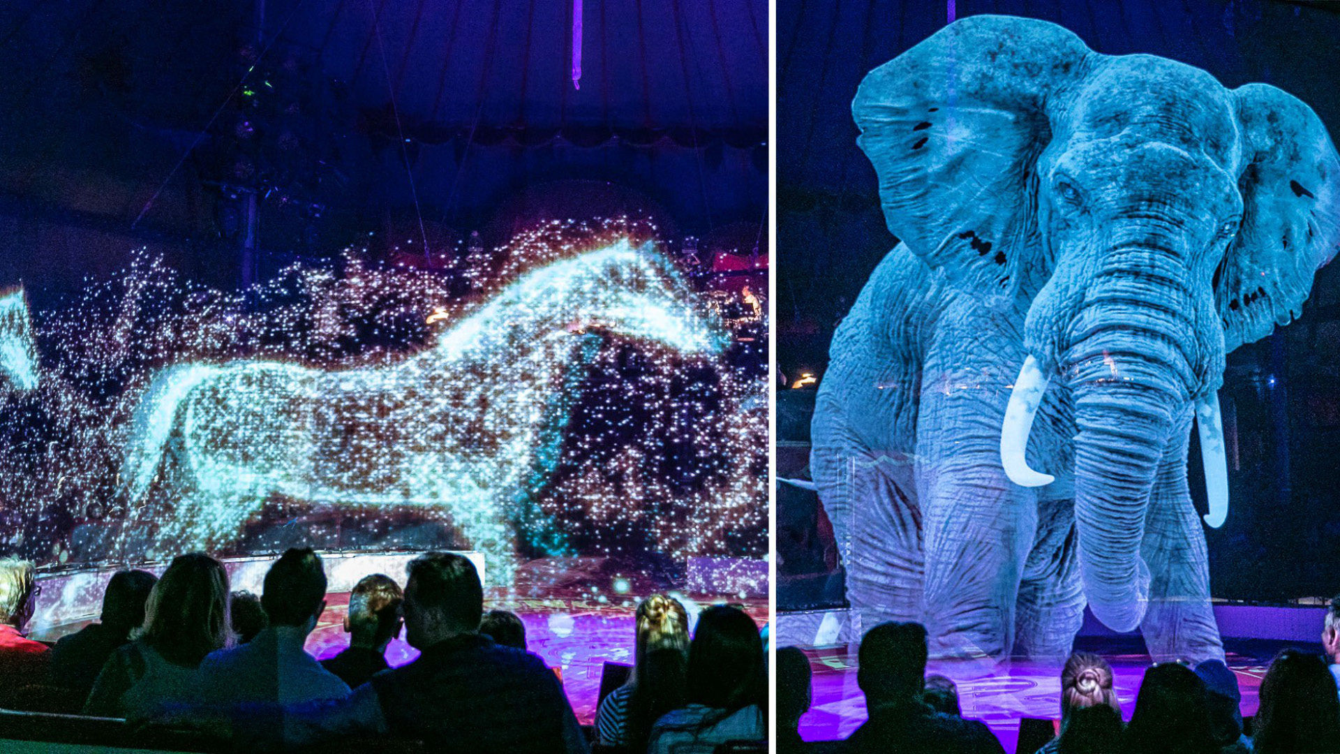 German Circus Has Said Goodbye To Animals In The Coolest Way Possible