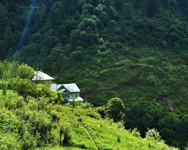 Longing A Mountain Escape? Head Over To Tosh In Himachal Pradesh