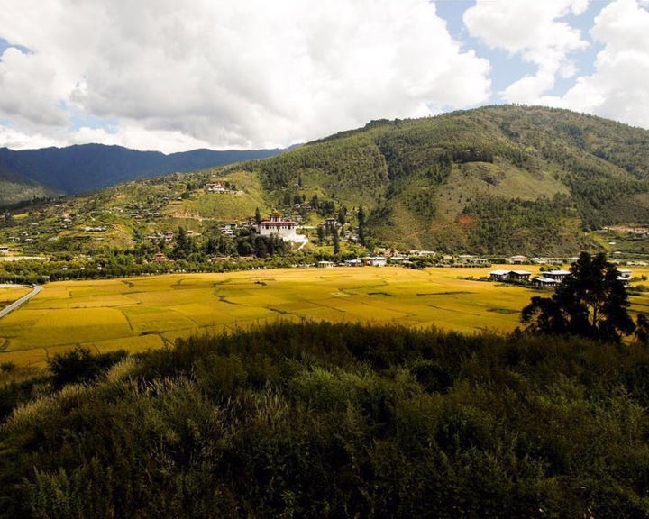 Actor Kelly Dorji On His Favourite Place In Bhutan And How He Prefers