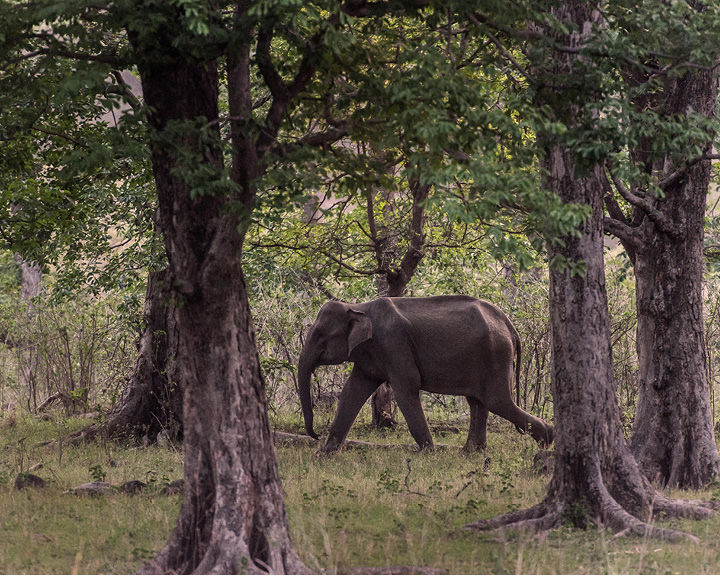 The Roseate Ganges Will Take Your Rishikesh Experience To Newer Heights