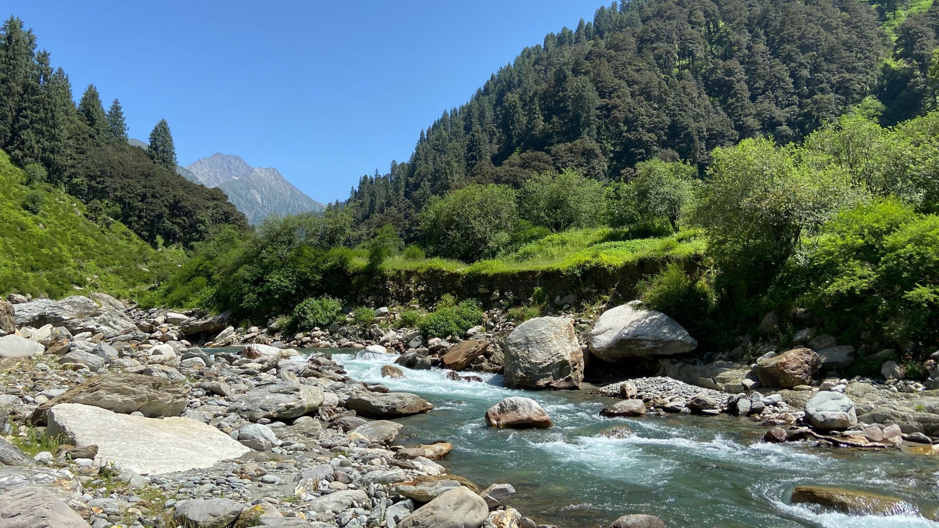 Paragliding Over Bir-Billing To See Jibhi's Beauty, Himachal's Hidden Gem