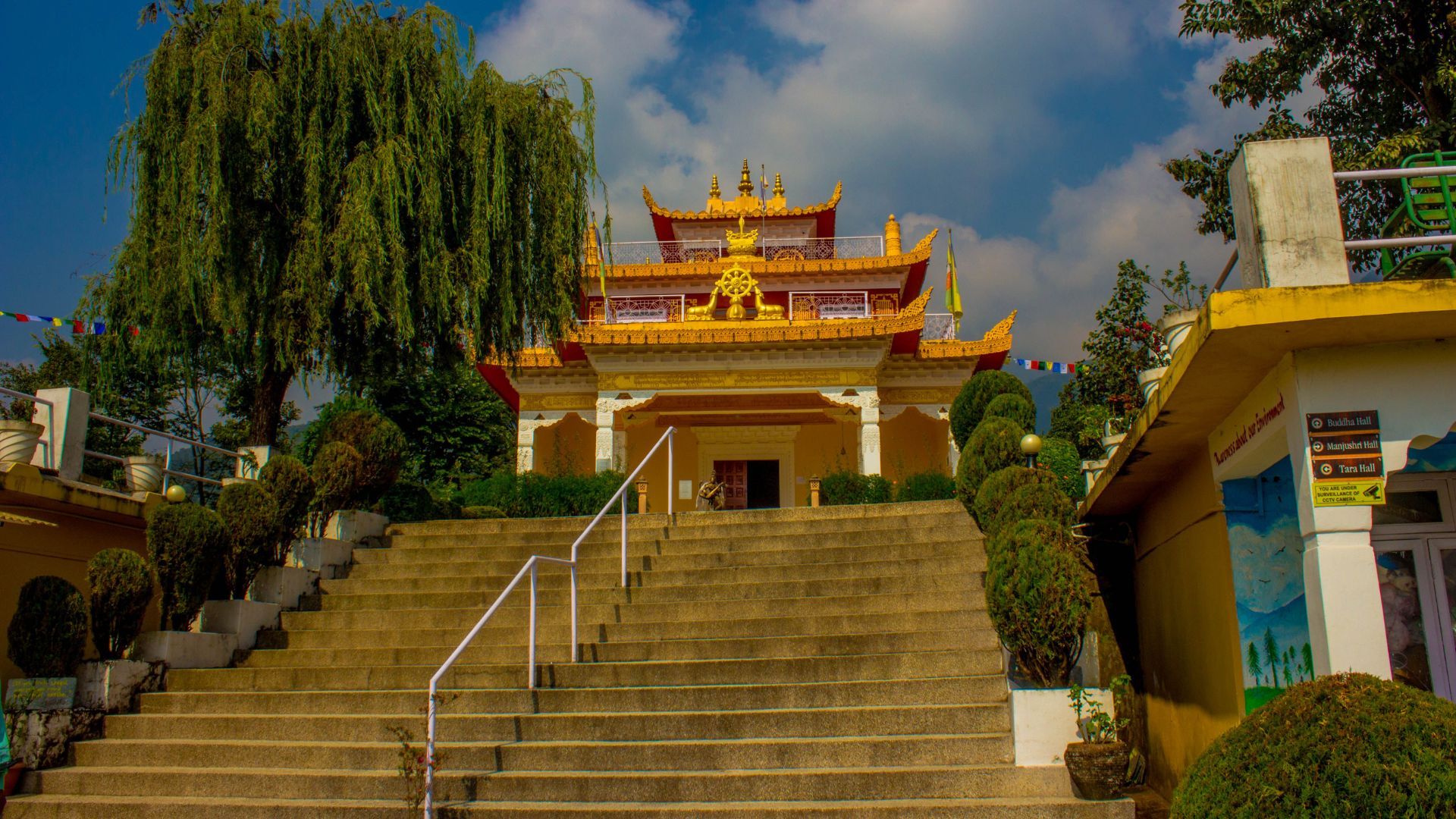 Paragliding Over Bir-Billing To See Jibhi's Beauty, Himachal's Hidden Gem