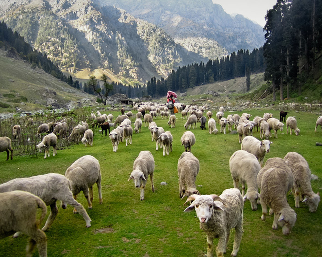 Explore Kashmir To Know Why Is It Called 'Heaven On Earth'
