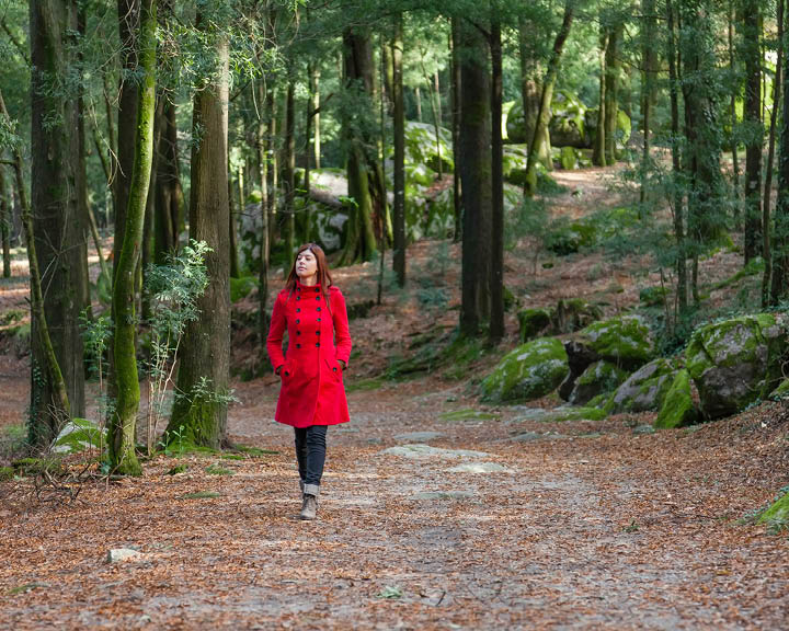 Bathe In Nature's Glory With The Japanese Philosophy Of Shinrin-Yoku