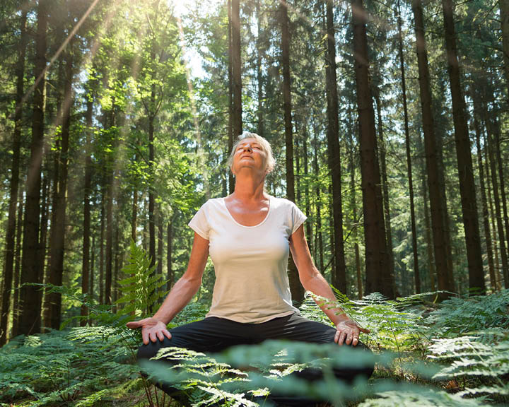 Bathe In Nature's Glory With The Japanese Philosophy Of Shinrin-Yoku