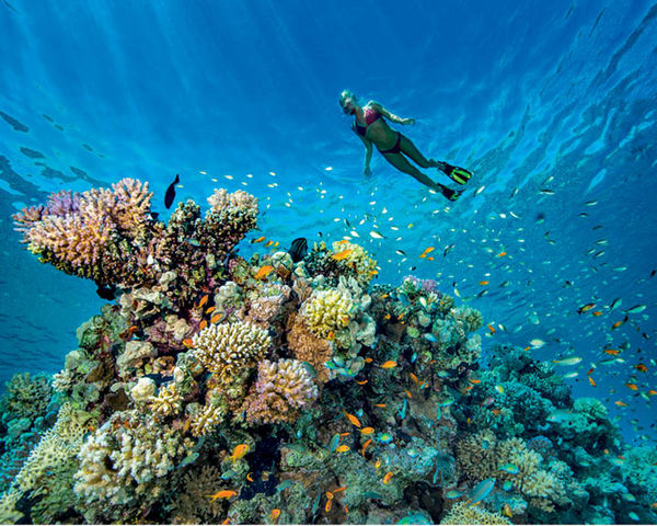 #DreamEscapes: A Family Dives Deep Into Egypt