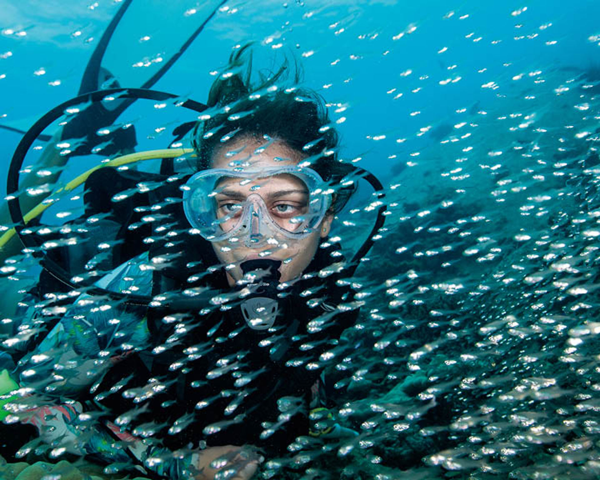 A Marine Biologist And Professional Scuba Diver Tells Us Why She Chose