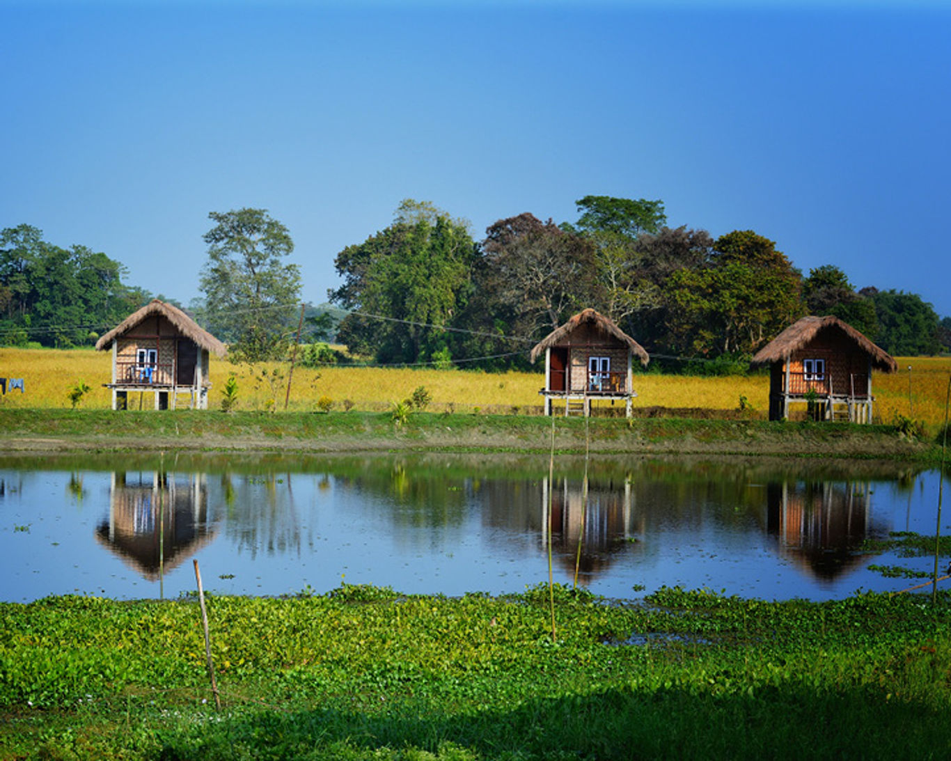 Explore The Magical World Of Majuli In Assam, The World's Largest Rive