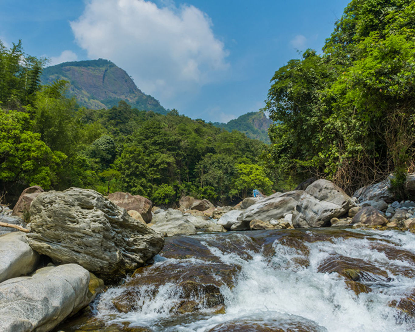 Here's Why You Need To Explore This Untouched Rainforest Of Kerala!