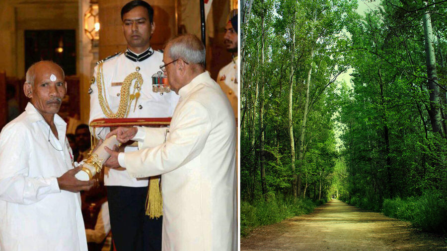 Meet Padma Shri Daripalli Ramaiah, India's Very Own Superhero Who Has