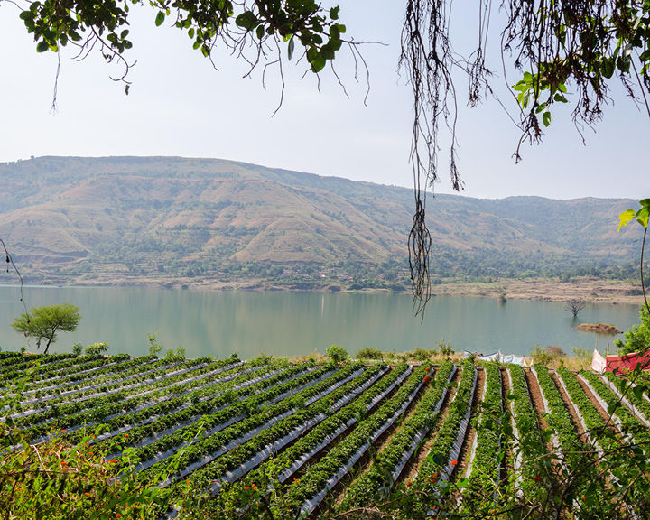 Here's Why A Trip To Panchgani Is The Perfect Way To Satiate Your Stra