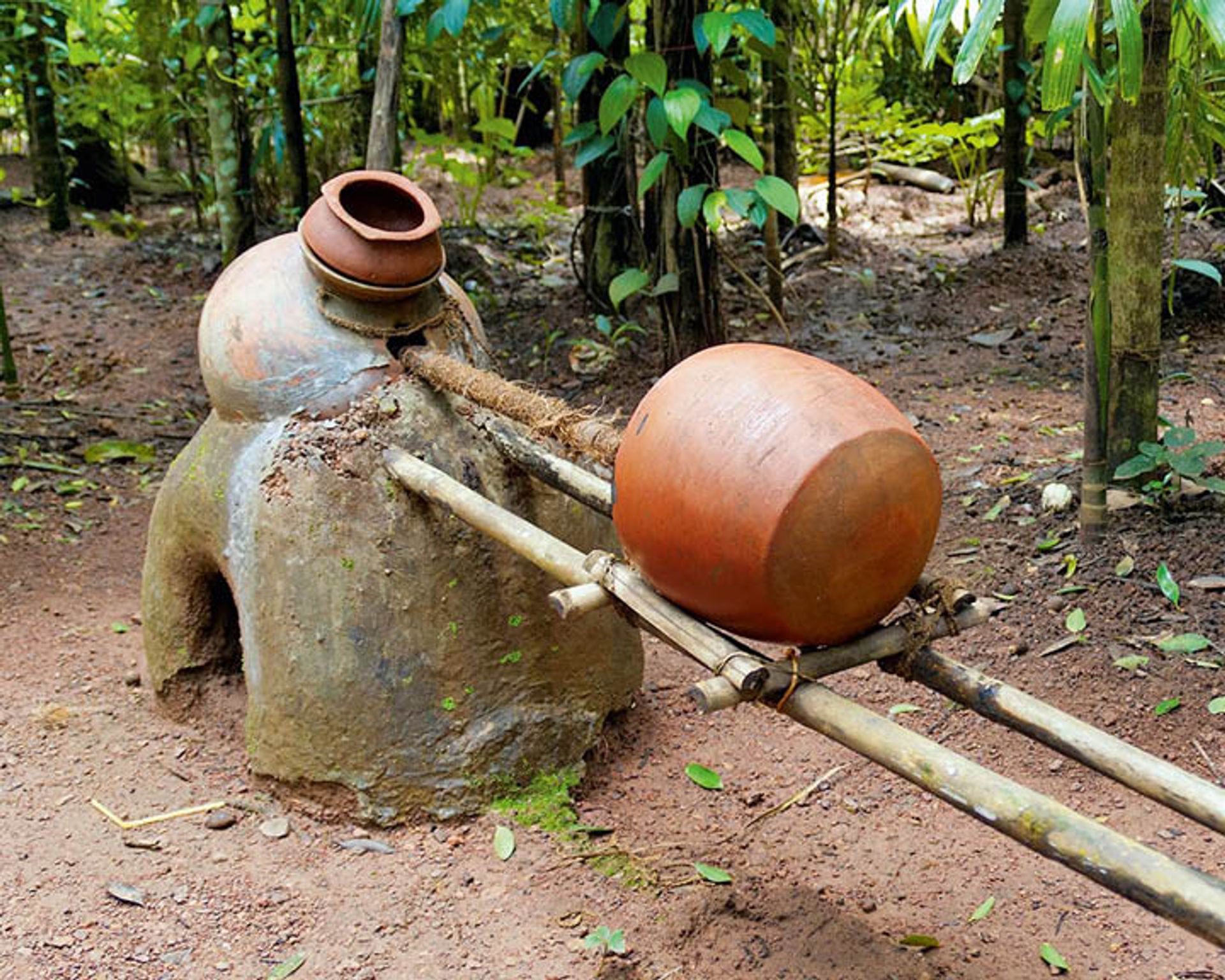 Forget Wine Or Whiskey Tasting, A Feni Tour In Goa Is What You Need On