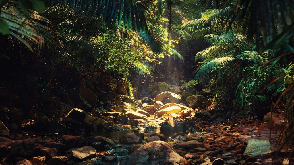 western ghats Archives | Travel and Leisure Asia | India