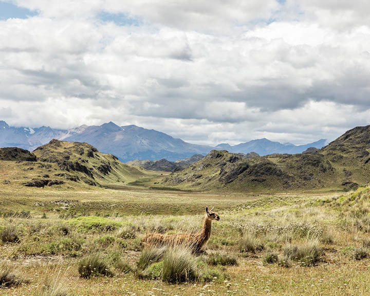 Aysén In Chile's Patagonia Is A Wild Wild Paradise For Nature Lovers