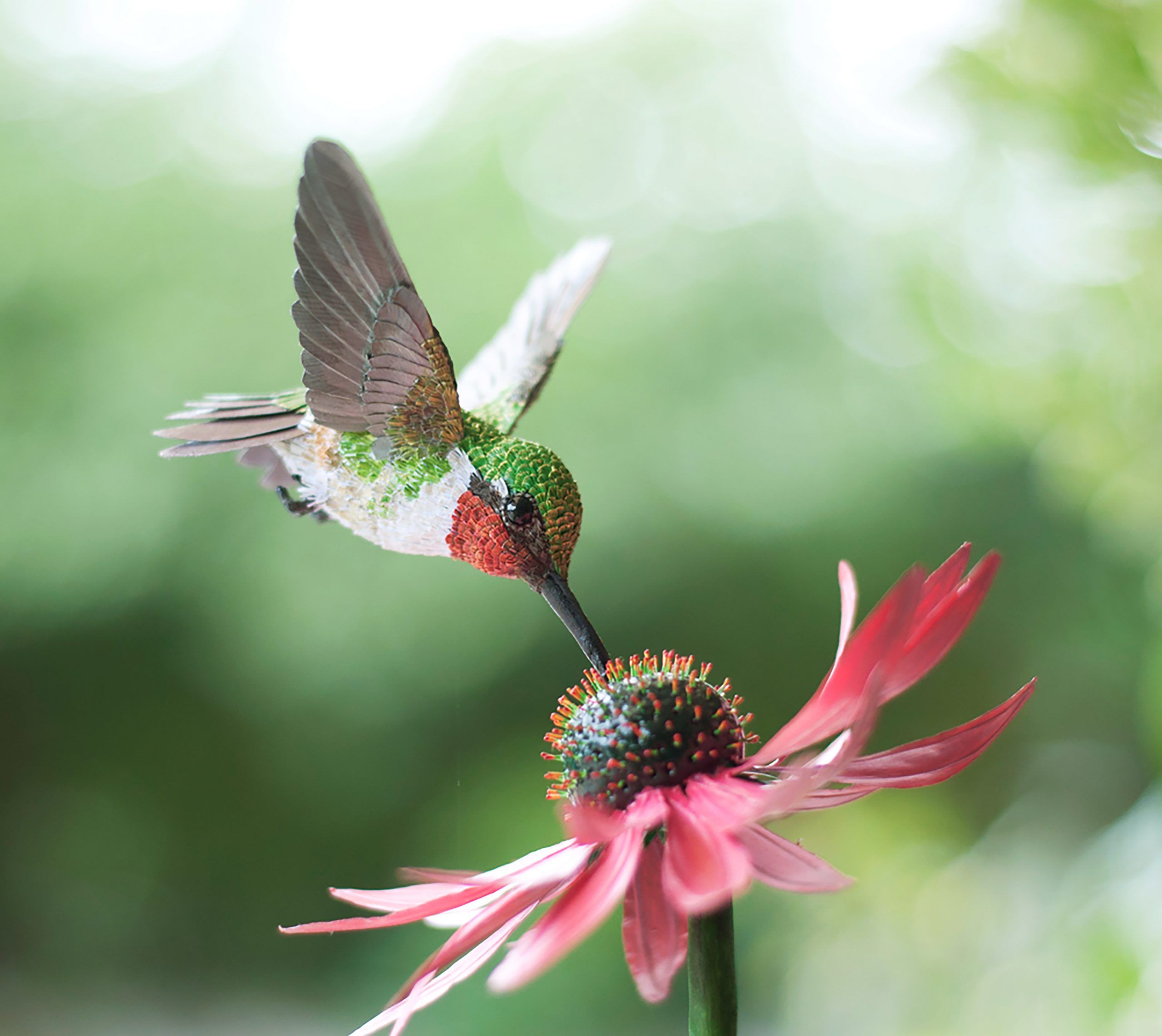 This Artist Creates The Most Realistic Bird Sculptures You've Ever See