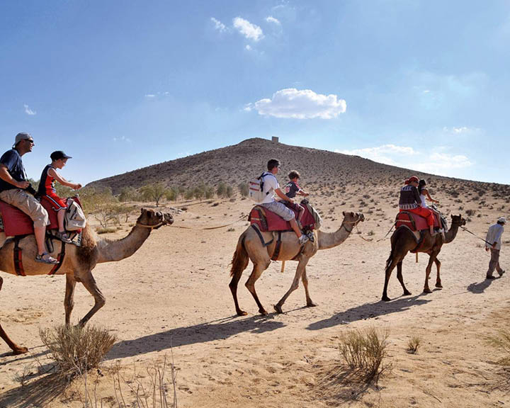Bucket List: 25 Offbeat Things To Do In The Middle East