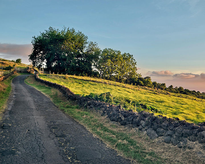 Visit The Hawaiian Island Maui To Immerse Yourself In Upcountry Magic