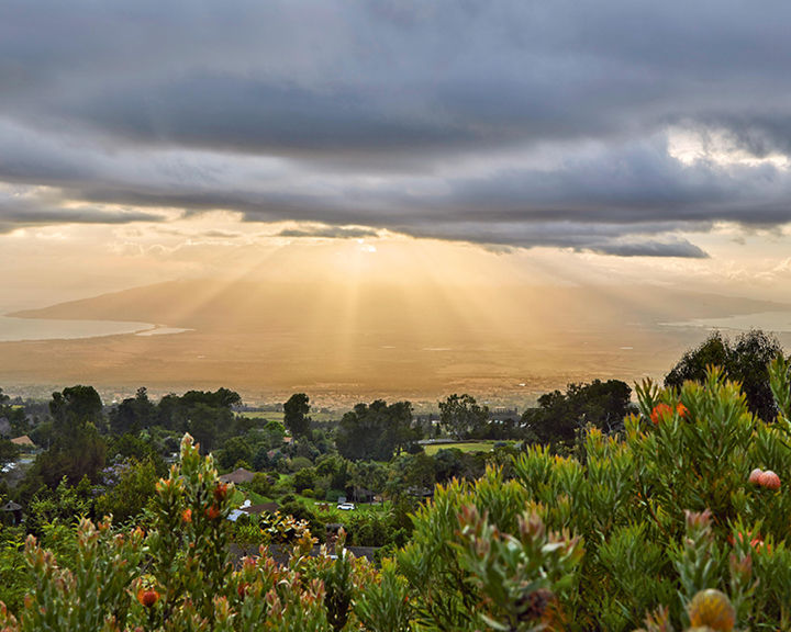 Visit The Hawaiian Island Maui To Immerse Yourself In Upcountry Magic