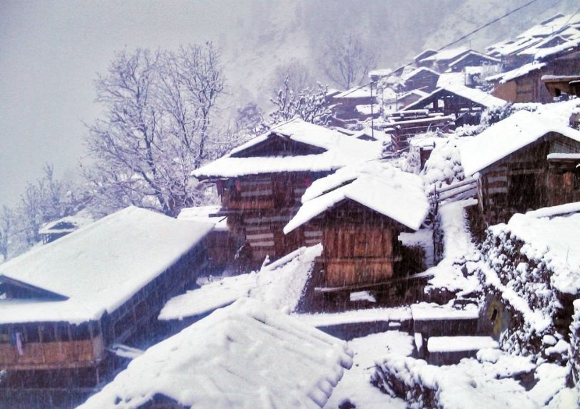 This Man's Sustainable Ideas Are Putting Uttarakhand's Kalap On Every