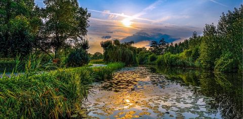 Here's How Mulki Has Become One Of India's Top Surf Destinations