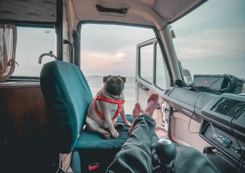 Meet Amit Singh, Who Went On An 8,000 Km Caravan Trip With His Pug!