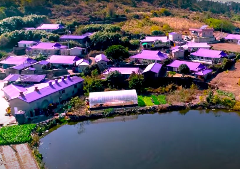 This All-Purple Island Is The Most Mesmerising Thing You'll See All Day