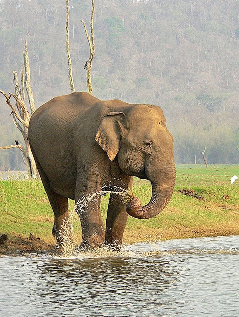 Bucket List: 20 Lesser-Known Destinations In India