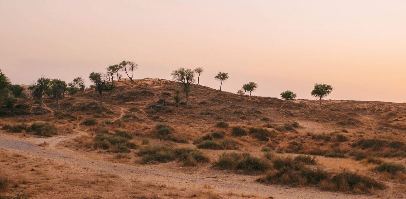 On Your Next Trip To The UAE, Explore The Emirate Of Ras Al Khaimah