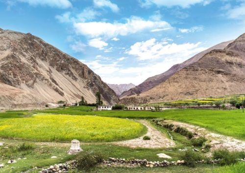 Through The Lens: Sighting The Elusive Snow Leopards Of Ladakh
