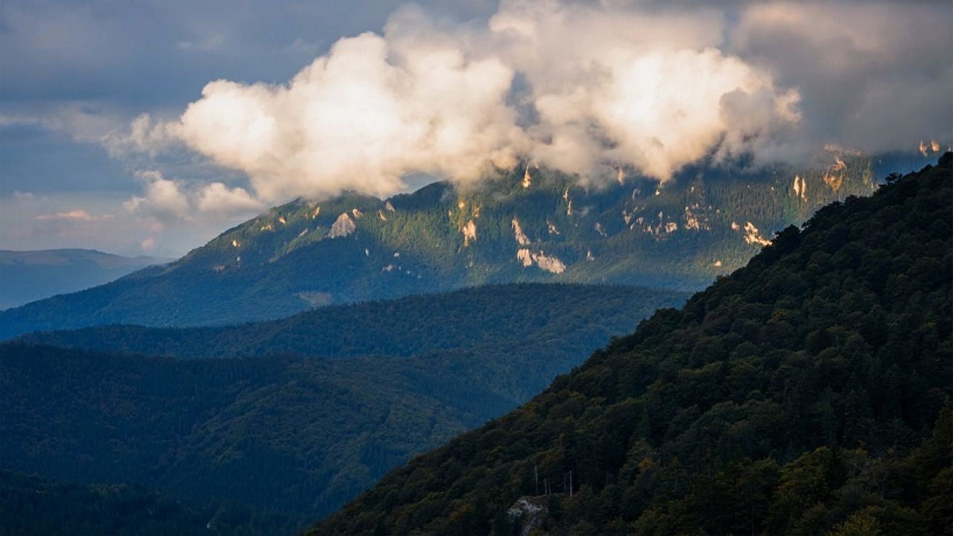 Best Travel Documentaries on Netflix: Watch These Hidden Gems Today