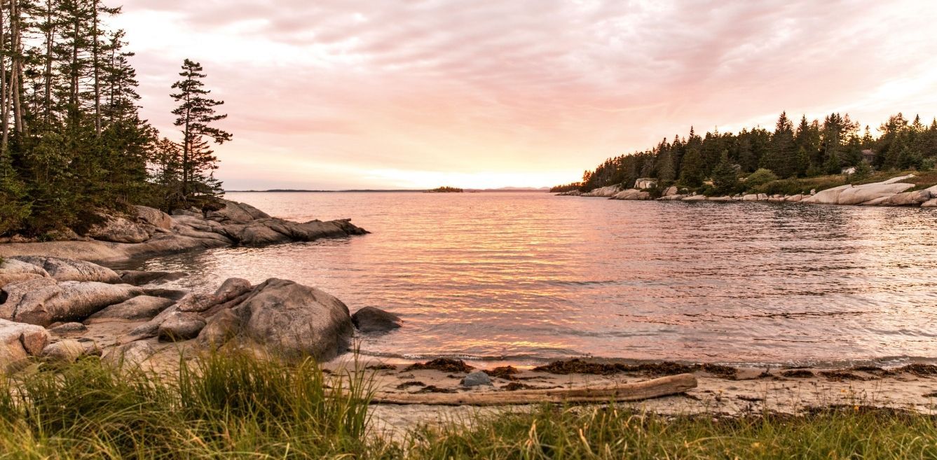 Explore The Gastronomic Landscape Of Maine, USA