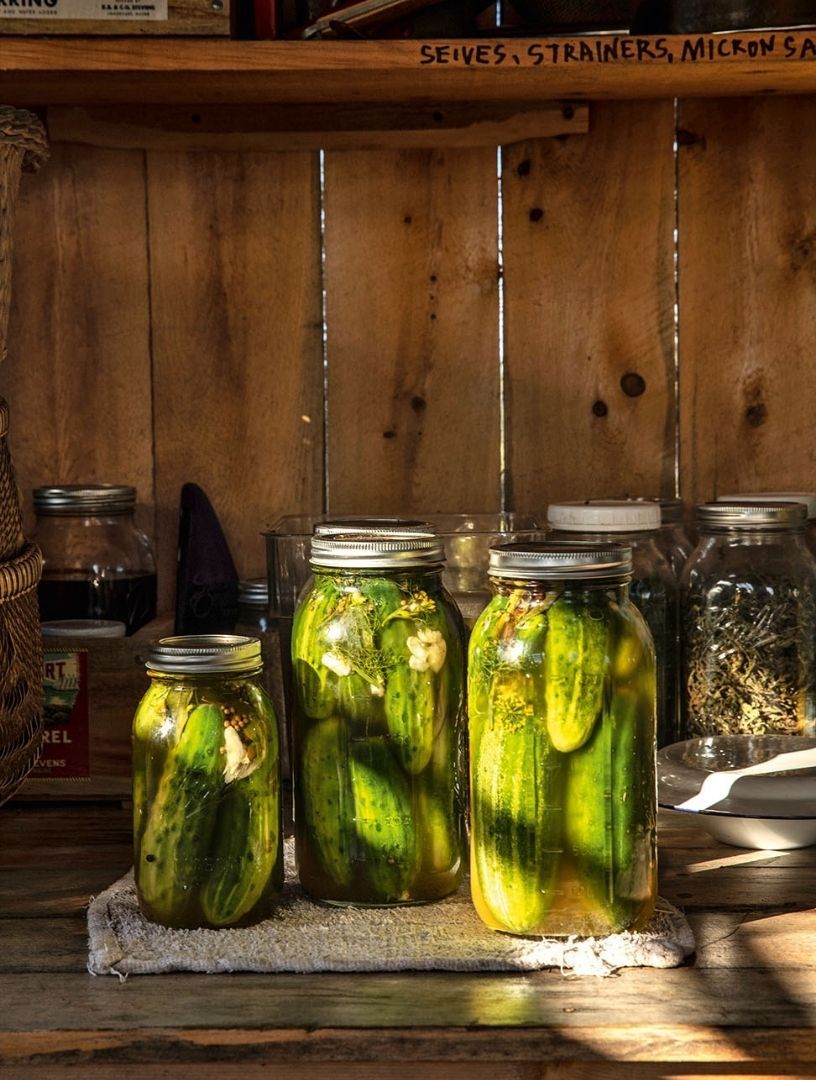 Explore The Gastronomic Landscape Of Maine, USA