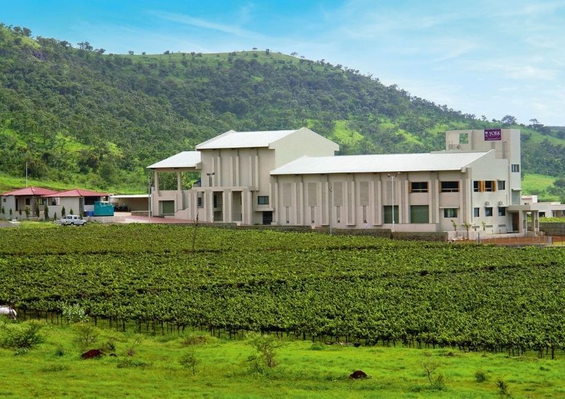 Wallow In Vino At The Award-Winning Vintage Wineries In Nashik