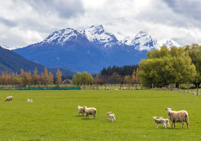 What Makes Heydey By Deepanjali Kanoria A Sustainable Brand?