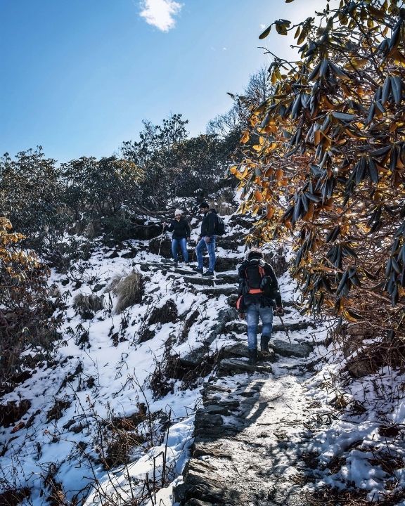 Through The Lens: Finding Solace In Munsiyari & Khaliya Top