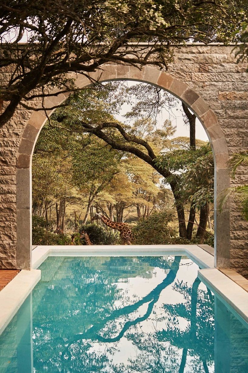 You Can Hang With Giraffes At This One-Of-A-kind Infinity Pool In Kenya