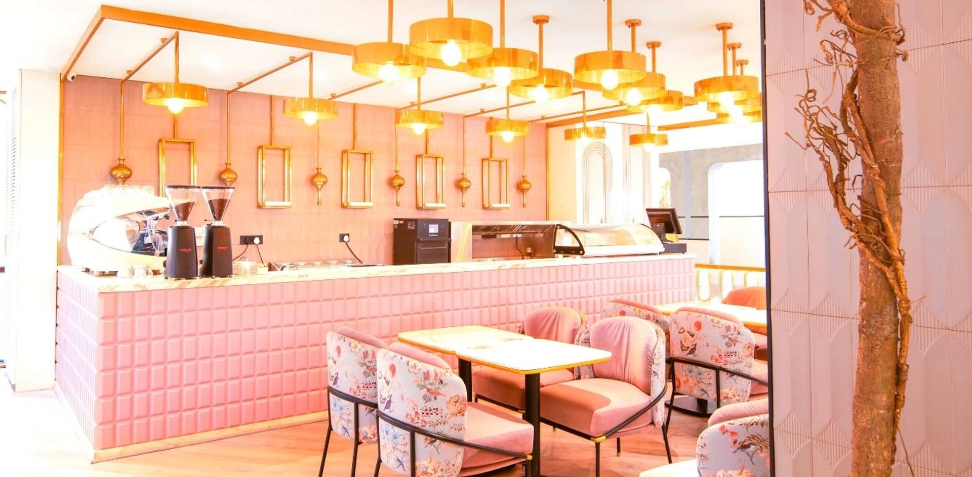 Cafe Tesu Has A New Address At DLF Avenue; We Sample Their Menu!