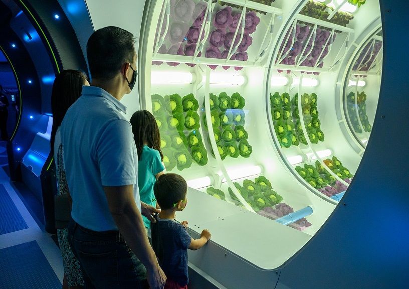 Space 220 Is Disney World's Newest Immersive Dining Experience
