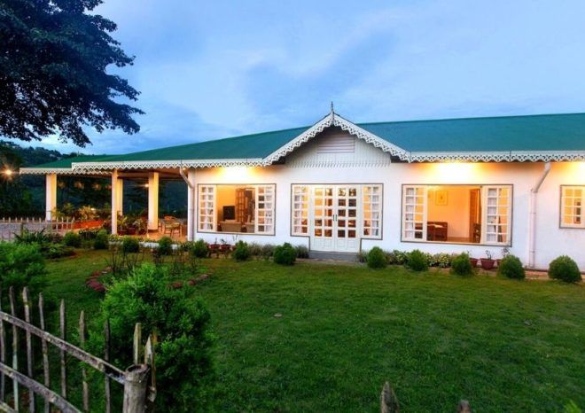 We Visited Makaibari Tea Estate To Sample India's Most Expensive Tea