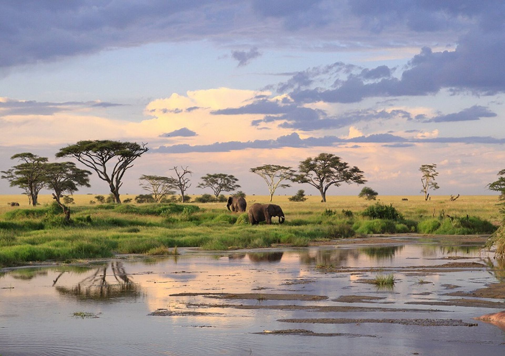 These Are The 15 Most Naturally Beautiful Countries In The World