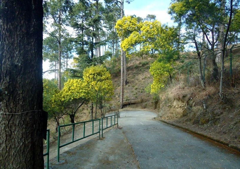 Explore Simtola, A Lesser-Known Eco Spot In Almora, Uttarakhand