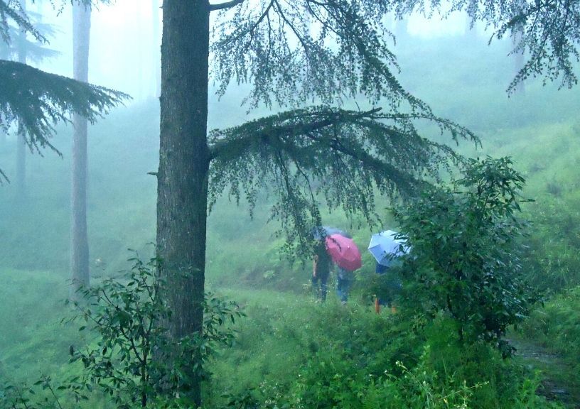 Explore Simtola, A Lesser-Known Eco Spot In Almora, Uttarakhand