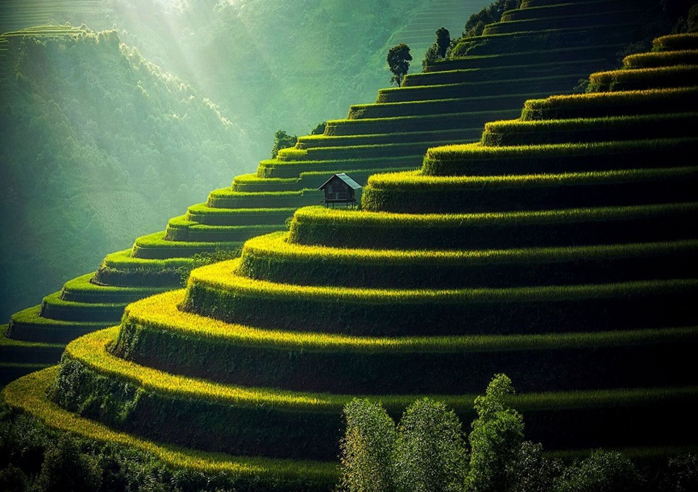 10 Greenest Places On Earth — From Jungle Hikes To Waterfall Dips