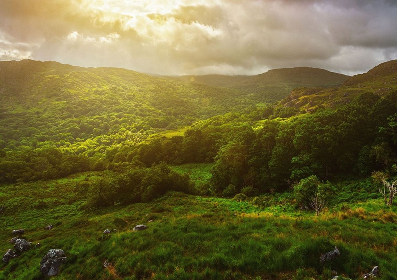 10 Greenest Places On Earth — From Jungle Hikes To Waterfall Dips