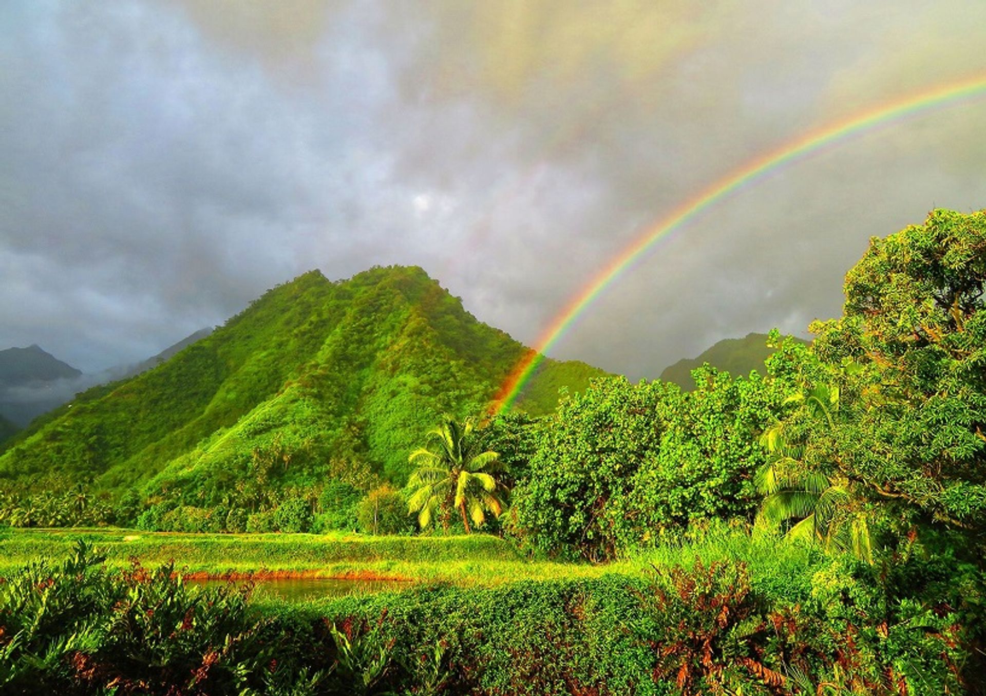 10 Greenest Places On Earth — From Jungle Hikes To Waterfall Dips